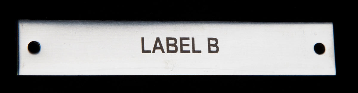 Stainless Steel label 100mm x 17mm x 1.5mm 2 holes TYPE B – Wiremarkers ...